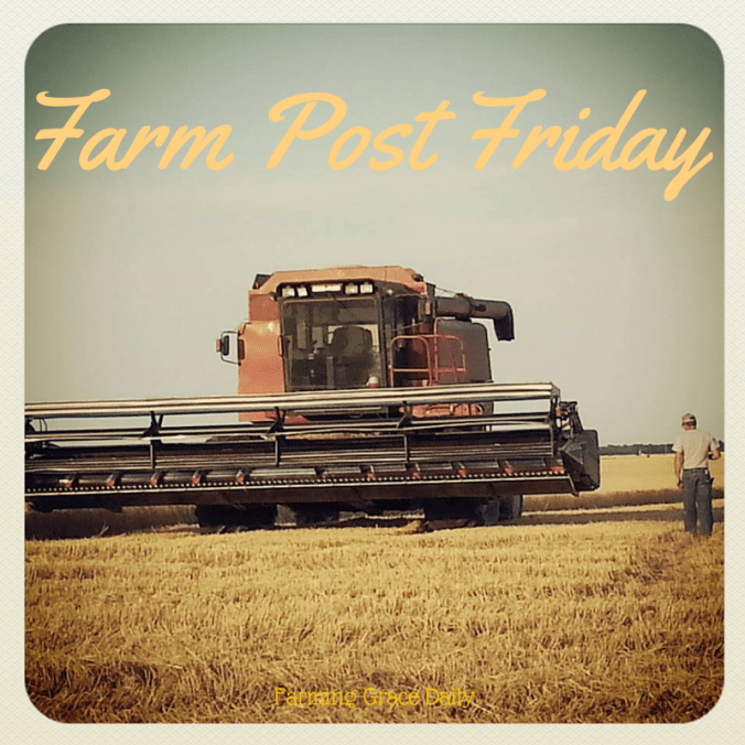 Farm Post Friday 6/17/16 – Pictorial Post – In Between the Sunsets of Life