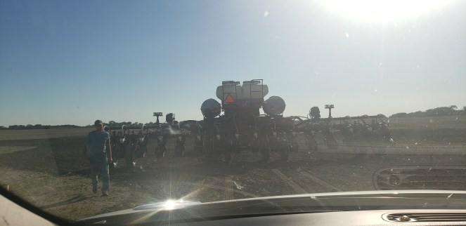 2020 Milo Planting – In Between the Sunsets of Life